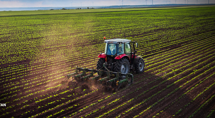 High-density farming yields greater economic returns-INP