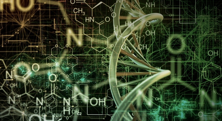 World Science Day marked to highlight significance of science in ...