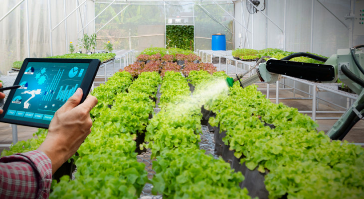 ‘Smart farming’ can help boost Pakistan’s agriculture output-INP