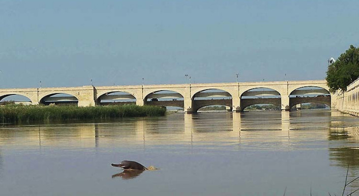 IRSA releases 34,200 cusecs water-INP