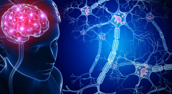 New device developed for low-cost and safe treatment of neurological ...