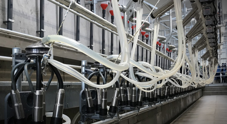 Innovation ultimate option to strengthen industries, bolster exports-INP