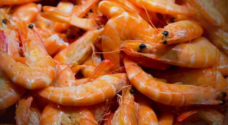 Shrimp farming, exports can help Pakistan address its external sector ...