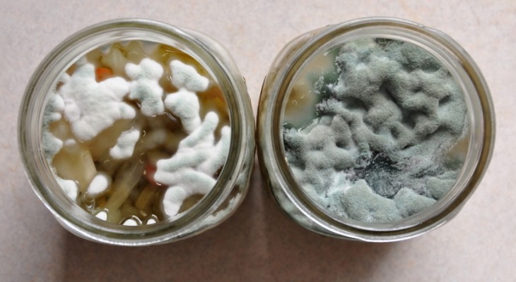 PFA discards 1000kg fungus-infected pickle in Sargodha-INP