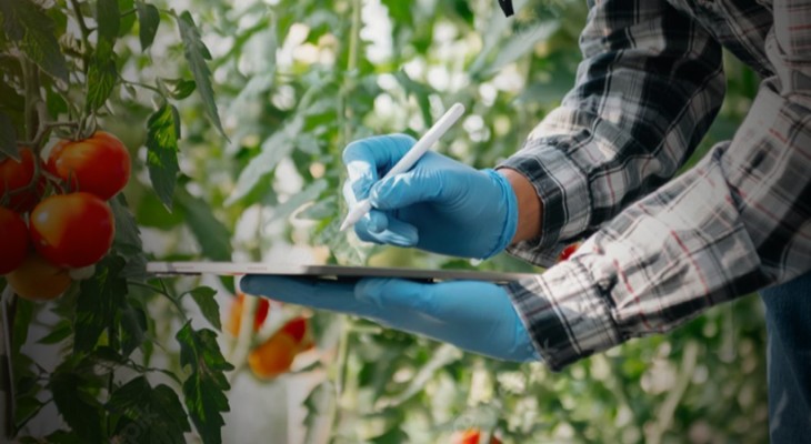 AI poised to revolutionize agriculture in Pakistan-INP AI poised to revolutionize agriculture in Pakistan-INP
