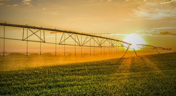 High-efficiency irrigation system critical for sustainable agriculture-INP